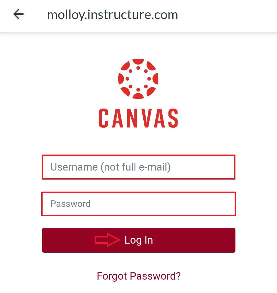 Molloy Canvas Student Guide 2023 | Molloy University