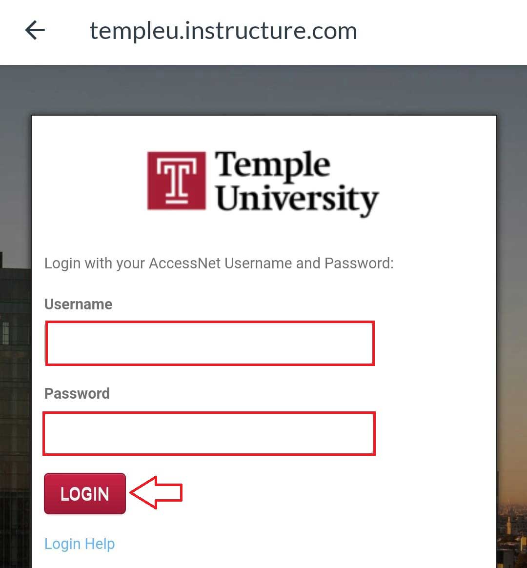 Temple Canvas Students Guide 2023 | Temple University